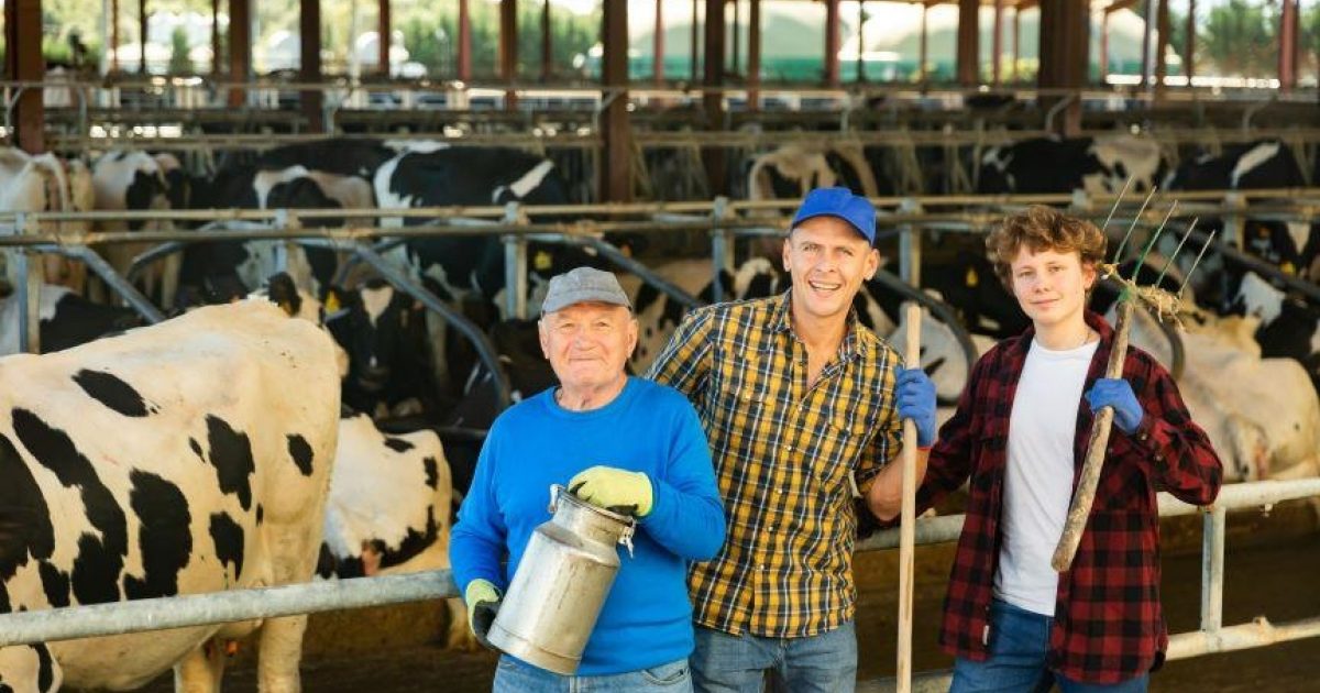 Estate Planning and Succession Planning for a Family Farm